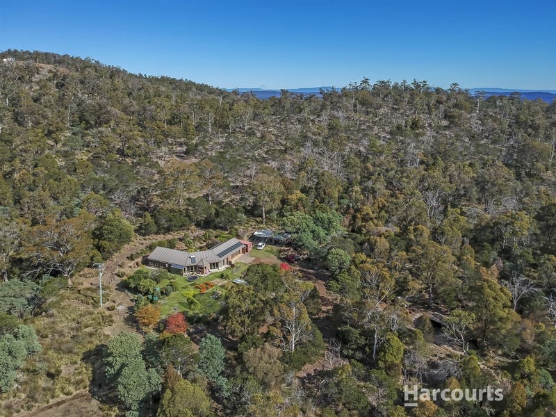 237 Pipers River Road, Turners Marsh, TAS 7267 - realestate.com.au