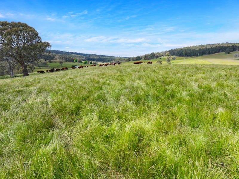 1026 Lower Bendoc Road, Bendoc, Vic 3888 - Property Details