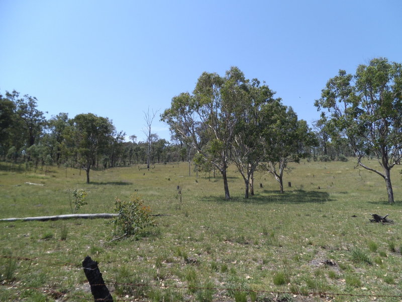 Lot 407 Cooyar Mount Binga Road, Cooyar, QLD 4402 - realestate.com.au