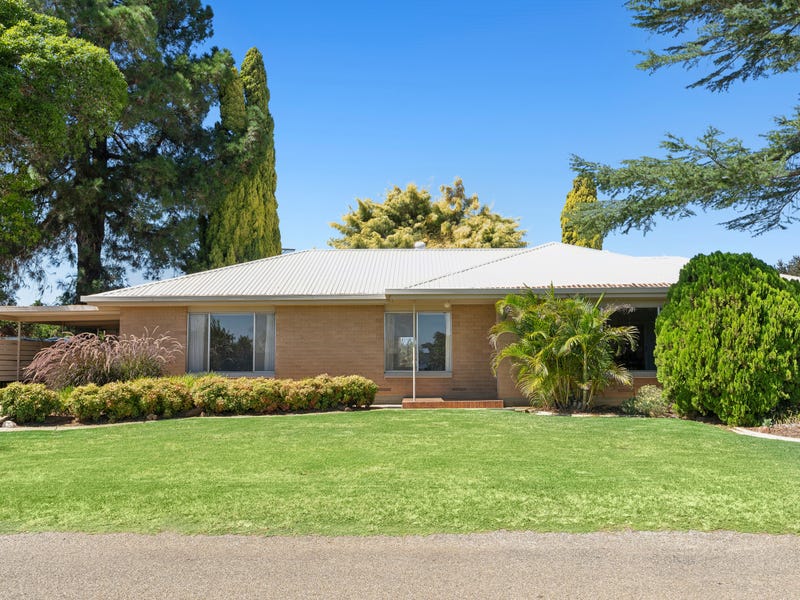 52 Thompson Road, Paringa, SA 5340 - Property Details