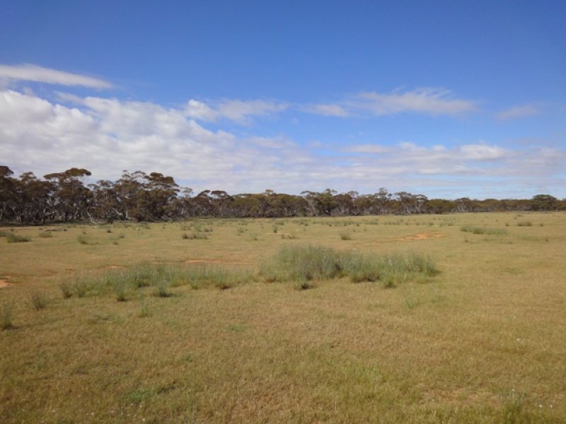 "Ragless" Mallett and Ragless Roads, Hallett, SA 5419 - Property Details