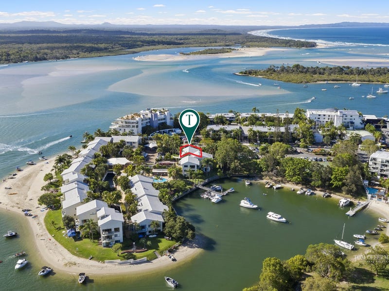 51/5 Quamby Place, Noosa Heads, QLD 4567 - realestate.com.au