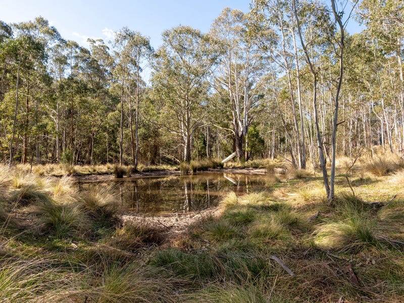 153 Blue Bush Road, Wyanbene, NSW 2622 - Other for Sale - realestate.com.au