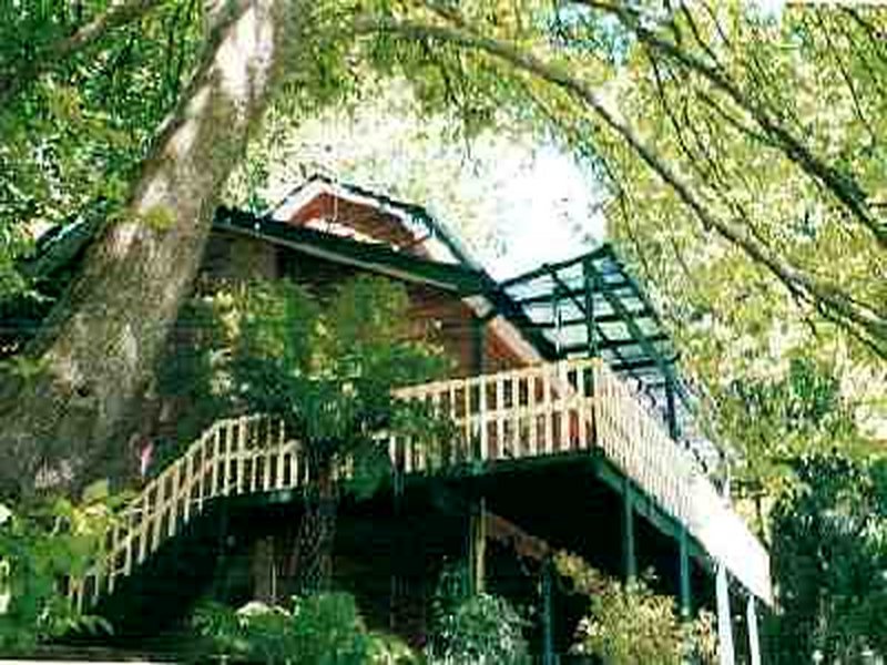 3 The Patch Road, The Patch, VIC 3792 - realestate.com.au