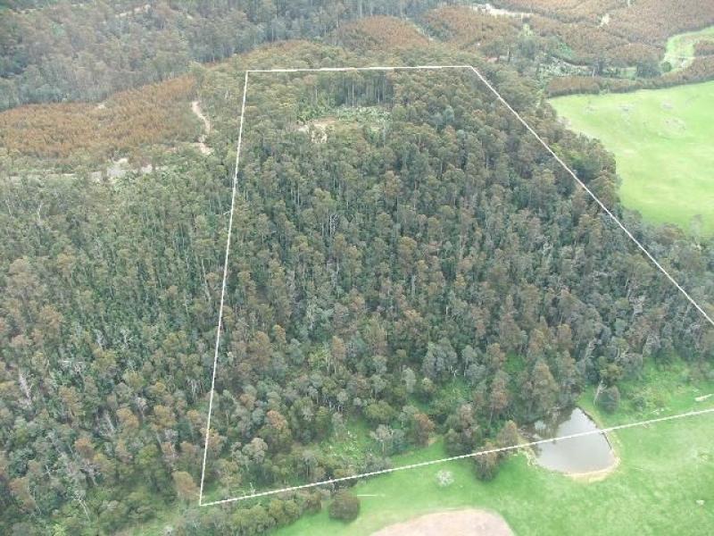 - Mt Victoria Road, Ringarooma, Tas 7263 - Property Details