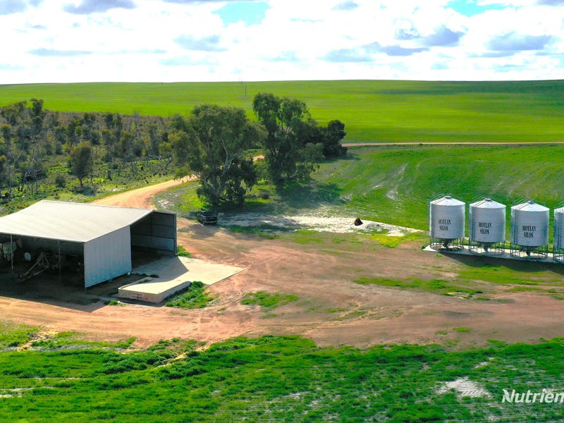 . Andrina Farm, Warradarge, WA 6518 - Cropping for Sale - realestate.com.au