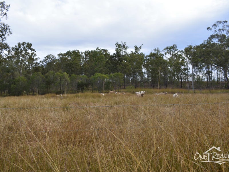 455 Netherby Road, Gundiah, QLD 4650 - realestate.com.au