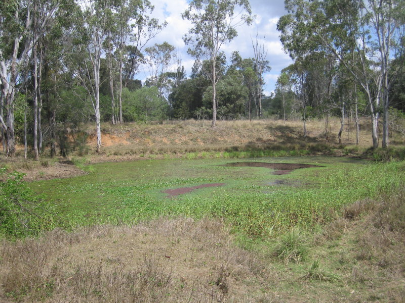 Property 7480863, Bajool, Qld 4699 - Property Details