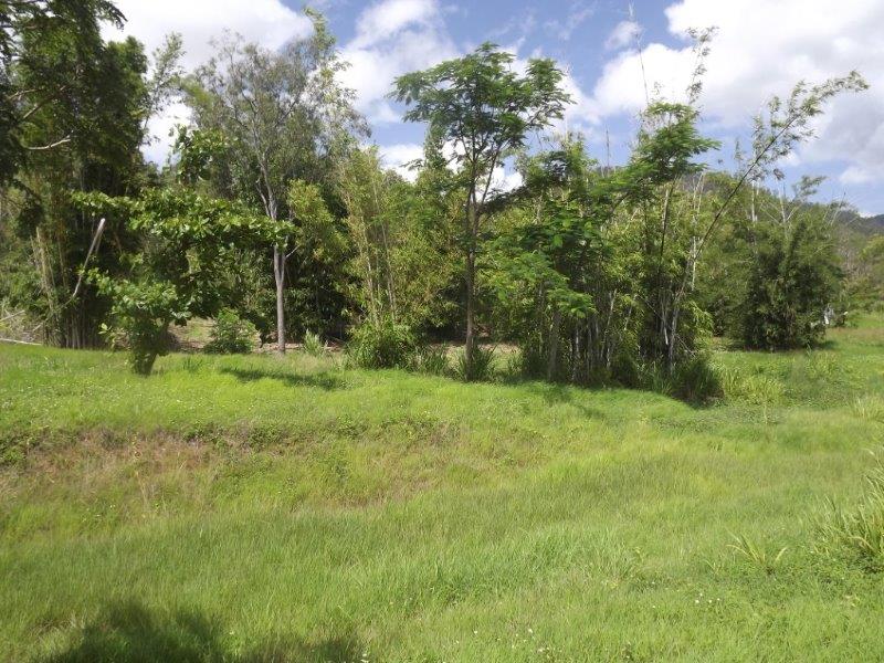 423 Paluma Road, Woodwark, QLD 4802 - realestate.com.au