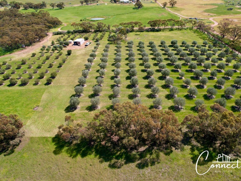 Property 700326956, Buckland, WA 6401 - Property Details