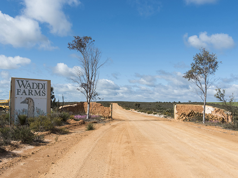 208 Koonah Road, Badgingarra, WA 6521 - realestate.com.au