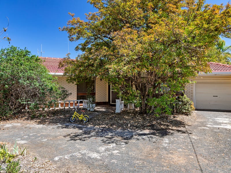 104 Main North Road, Willaston, SA 5118 - Property Details