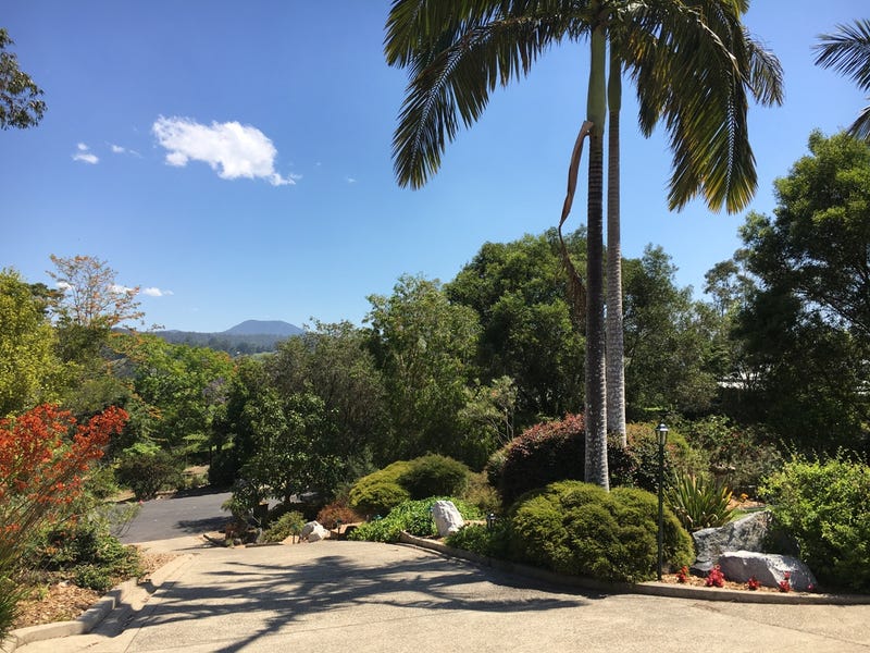58 Sunset Ridge Drive, Bellingen, NSW 2454 - realestate.com.au