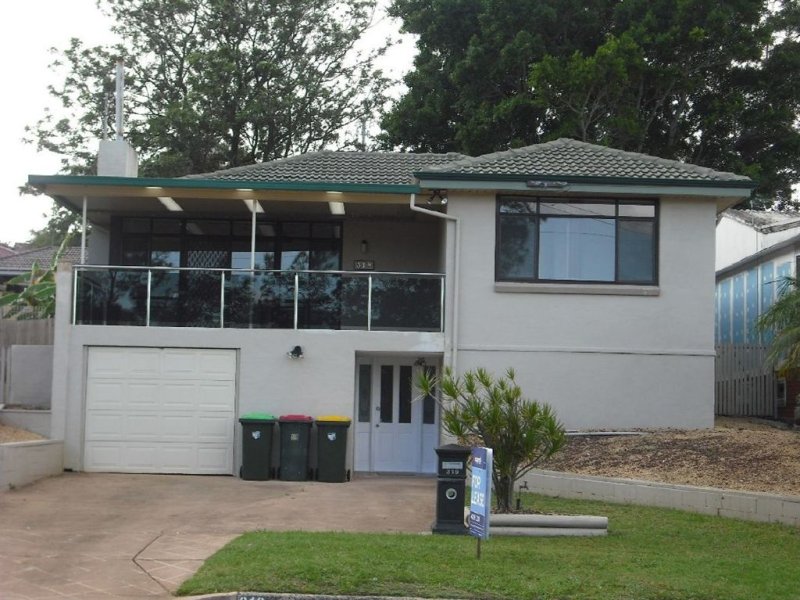 319 Reddall Parade, Mount Warrigal, NSW 2528 - realestate.com.au