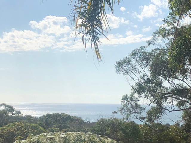 172 Point Plomer Road, Crescent Head, NSW 2440 - realestate.com.au