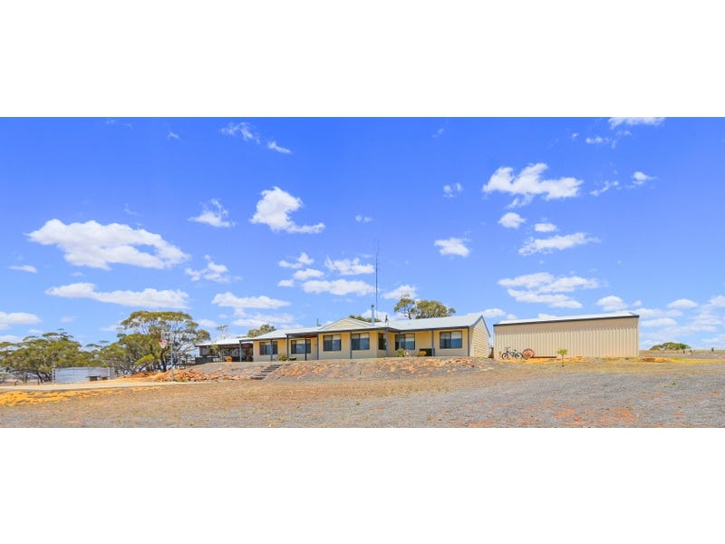 1564 (Lot 81) Irishtown Rd, Buckland via, Northam, WA 6401 - Property ...