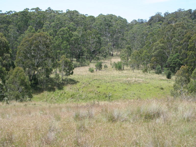 25 Wyanbene Road, Braidwood, NSW 2622 - Property Details