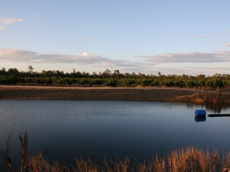 Property 7227957, Dimbulah, Qld 4872 - Property Details