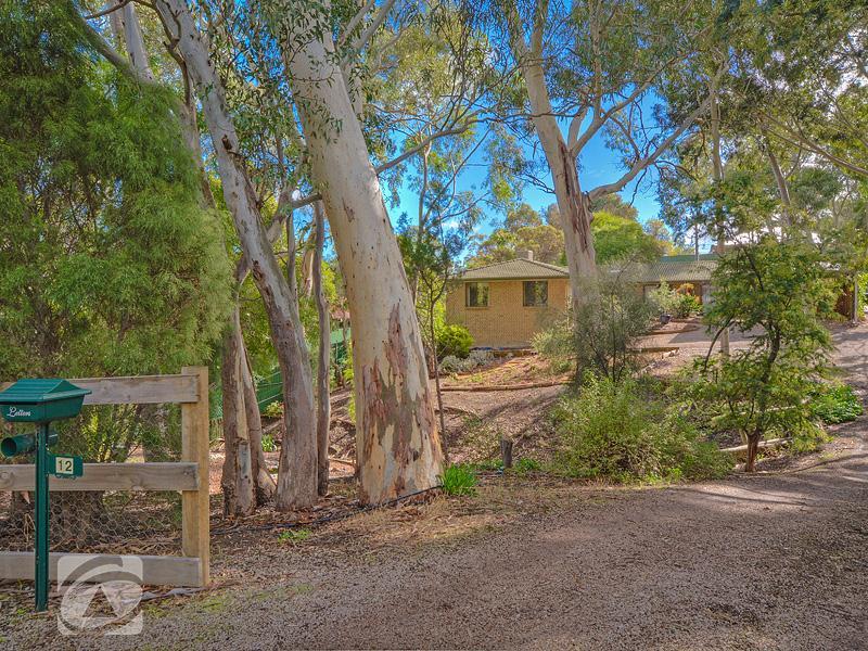 12 Treetop Street, Tea Tree Gully, SA 5091 - realestate.com.au
