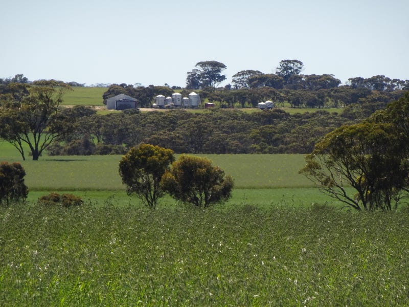 105 Cuballing East & Wardering Road, Wardering, WA 6311 - Property Details