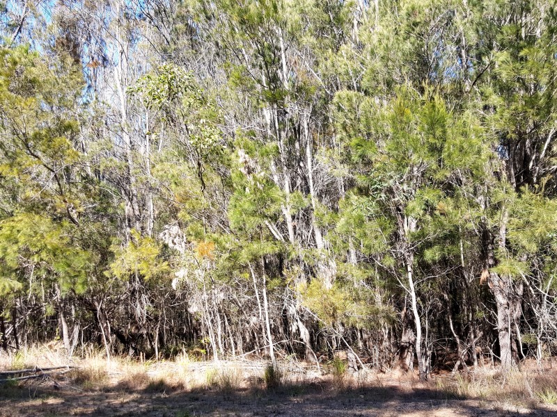 44 Seaward Drive, Russell Island, QLD 4184 - realestate.com.au