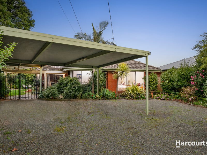 8 Michael Court, Forest Hill, VIC 3131 - realestate.com.au