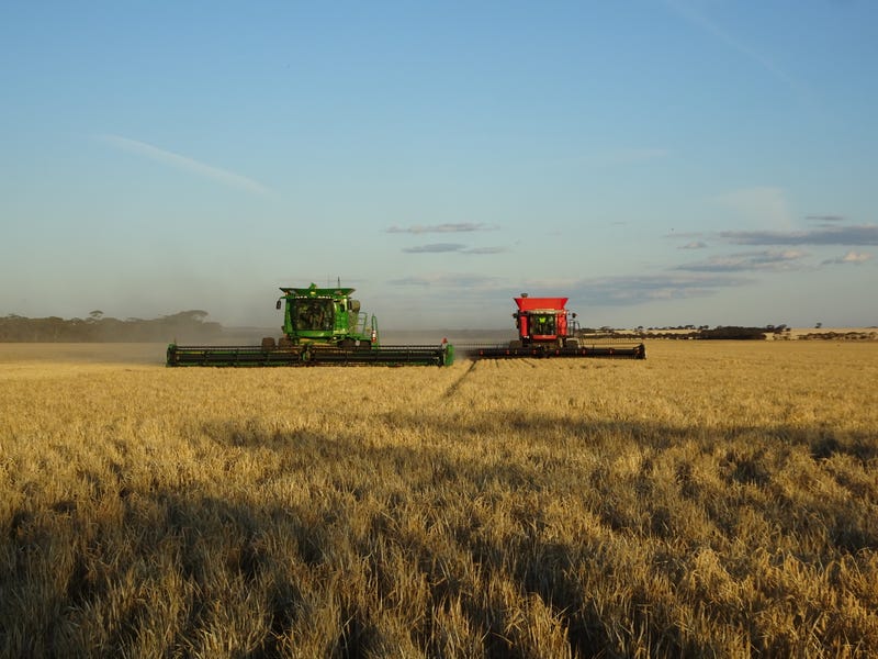 "Minni Downs" Mount Sheriden Road, Varley, WA 6355 - Property Details