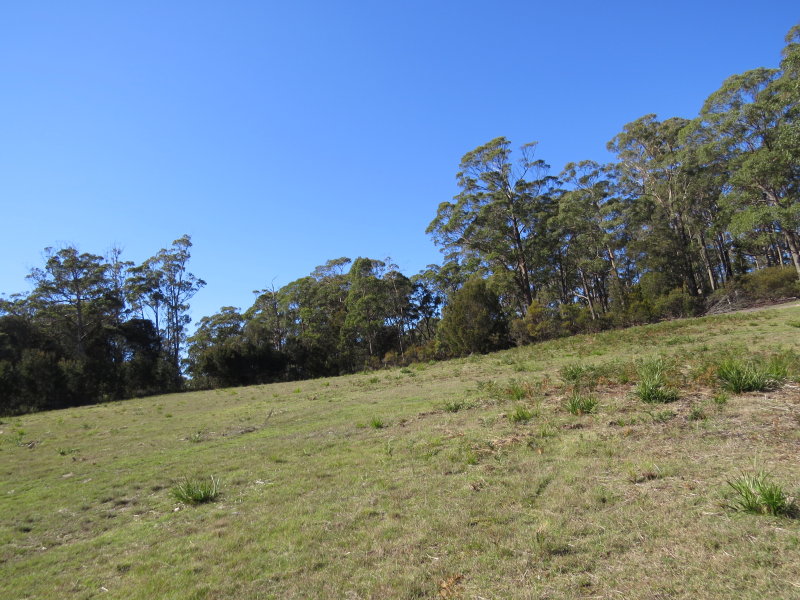 8 Castle Drive, Tarleton, TAS 7310 - realestate.com.au