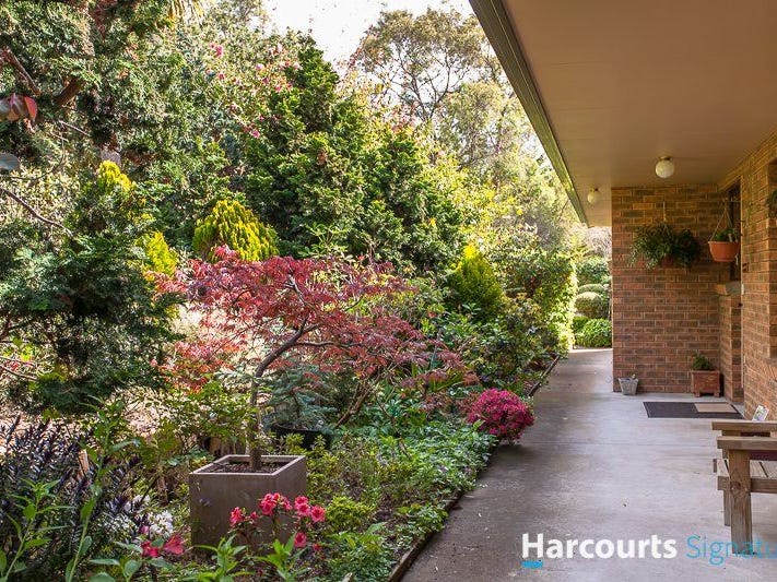 7 Renmark Place Acton Park TAS 7170 Realestate au 7-renmark-place-acton-park-tas-7170-realestate-au