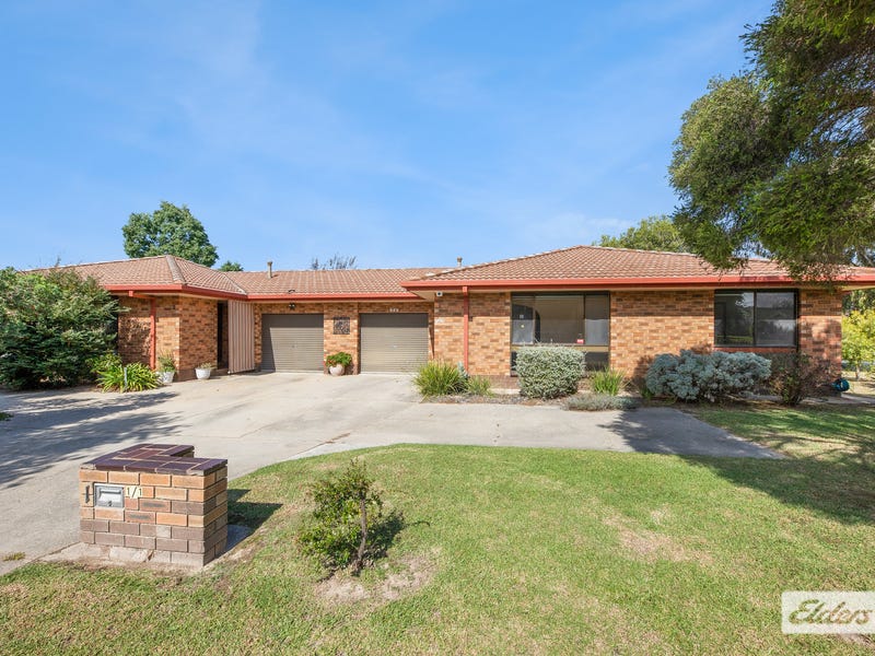 2/1 Rachel Court, Lavington, NSW 2641 - realestate.com.au