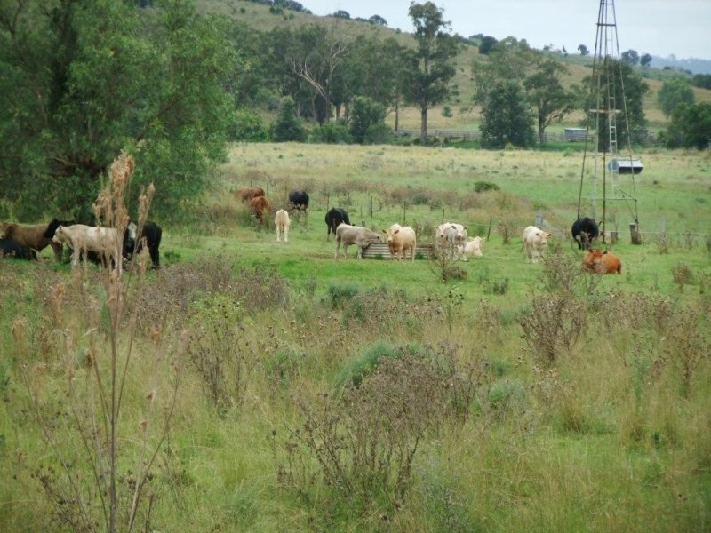 Lot 381 Djuan Road, Haden, Qld 4353 - Property Details