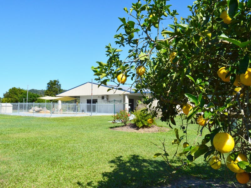 18 Thorne Road, East Feluga, QLD 4854 - realestate.com.au