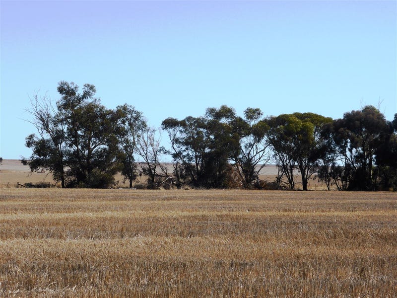 Allot 1 Hughes Park road, Hoyleton, SA 5453 - Property Details