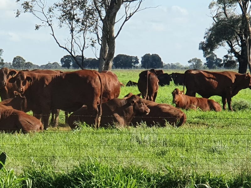 1050 Meandarra - Talwood Road, Meandarra, QLD 4422 - realestate.com.au