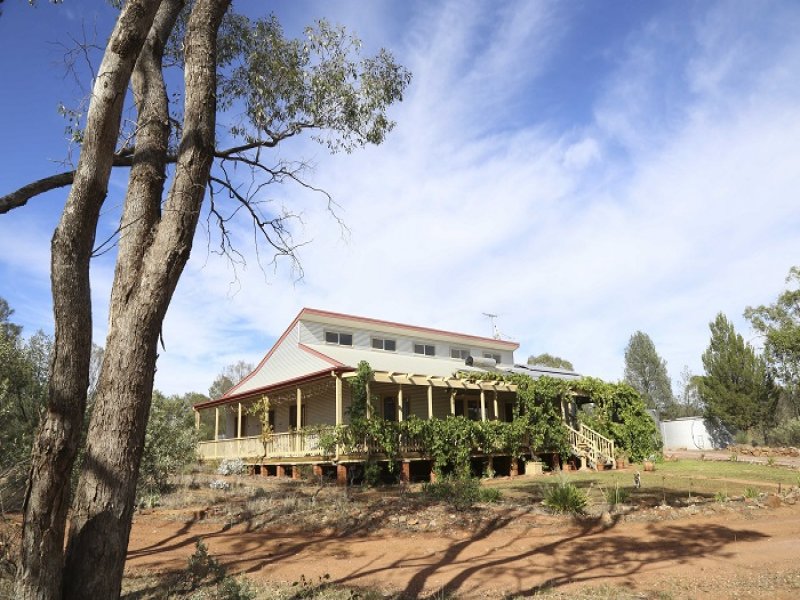 443 'Forest Hut Estate' Merungle Hill Road, Leeton, NSW 2705 - Property ...