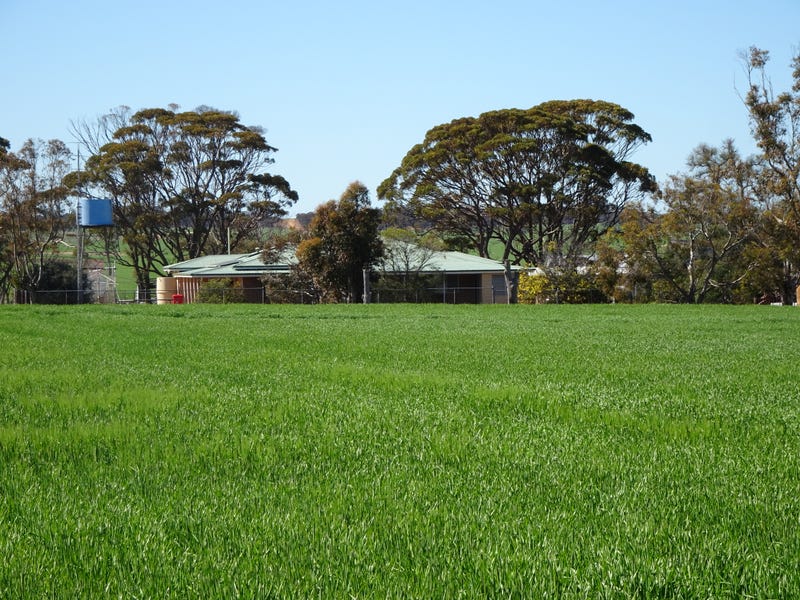 Lot 22 Wilsons Road, Jitarning, WA 6365 - Property Details