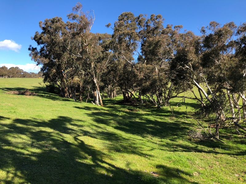 894 Cleland Gully Road, Tooperang, SA 5255 - realestate.com.au