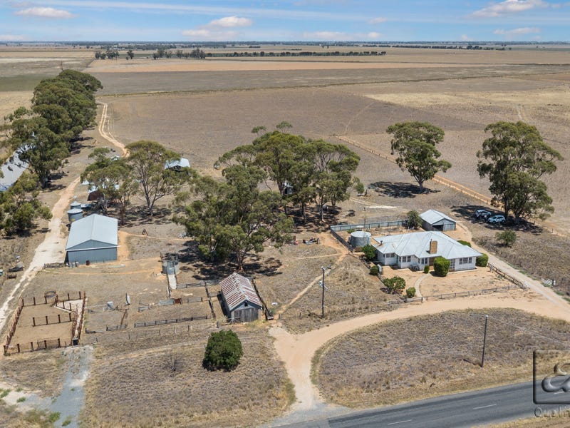 663 Dingee Road, Dingee, Vic 3571 - Property Details