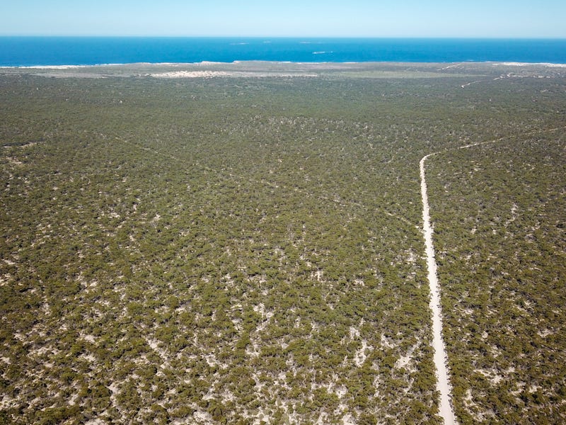 31, Cheetima Beach Rd, Coorabie, SA 5690 - Property Details