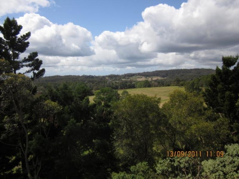 63 Lyrebird Ridge Rd, Springbrook, Qld 4213 - Property Details