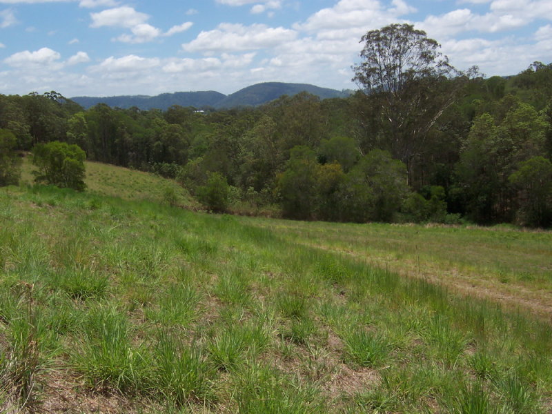 1 Mimburi Place, Armstrong Creek, QLD 4520 - realestate.com.au