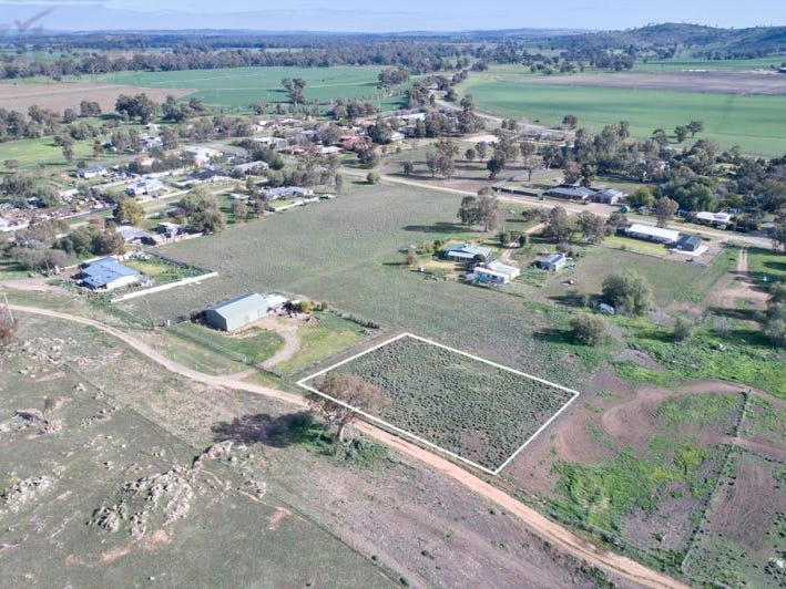 31 Adams Street, Ashmont, NSW 2650 - realestate.com.au