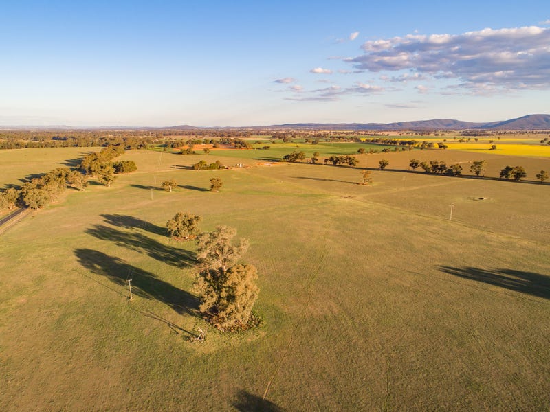 4259 Lachlan Valley Way, Gooloogong, NSW 2805 - realestate.com.au