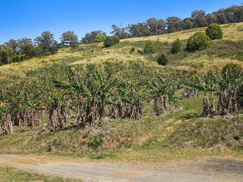 159 Englands Road, North Boambee Valley, NSW 2450 - realestate.com.au
