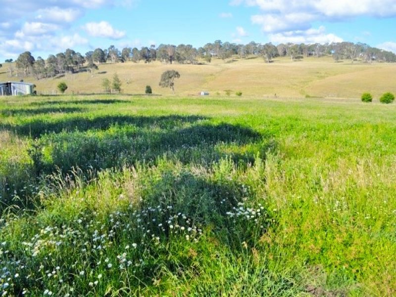 1 Albert Street, Falconer, NSW 2365 - Property Details