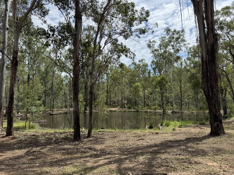 Hurdle Gully Road, Monto, Qld 4630 - Livestock for Sale - realestate.com.au