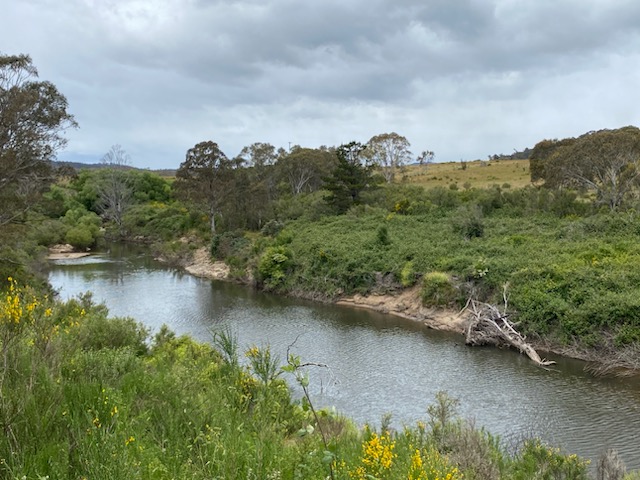 193 Wyanbene Road, Wyanbene, NSW 2622 - Property Details