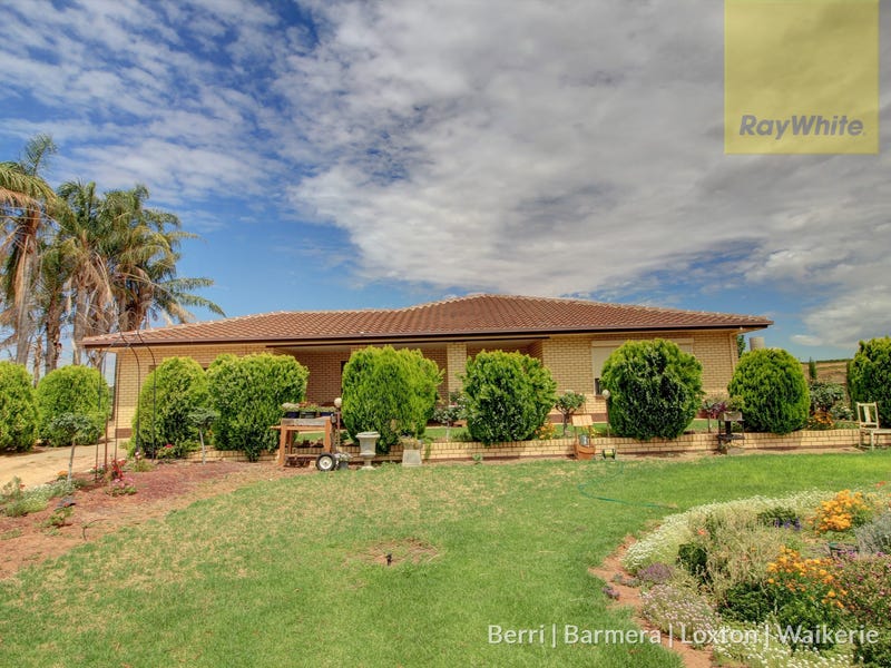 33 Loxton Drive, Moorook, SA 5332 - Property Details