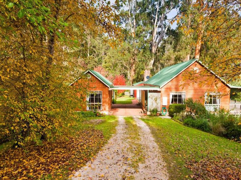 1135 Barham River Road, Apollo Bay, VIC 3233 - realestate.com.au