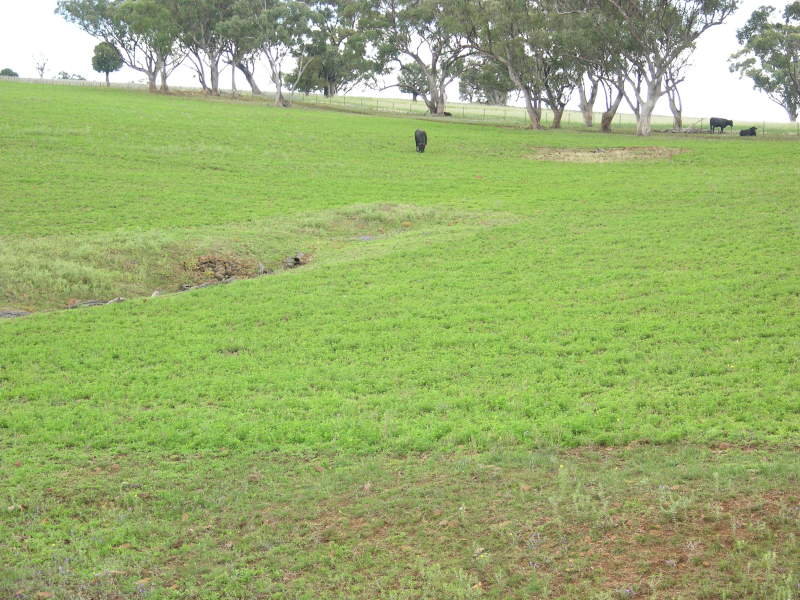 Bald Ridge, Coolah, NSW 2843 - Property Details